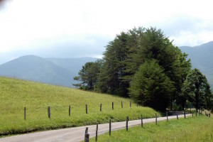 What are the Cades Cove Hours of Operation?
