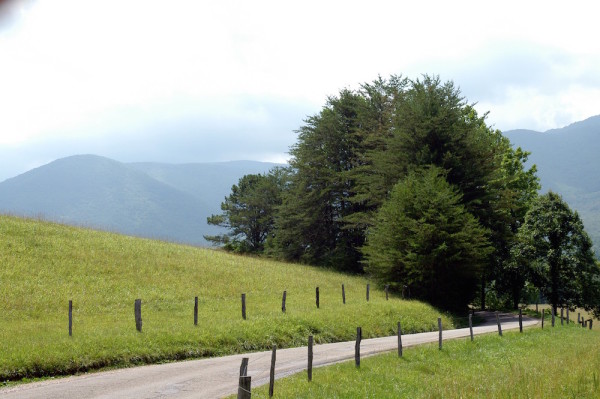 What are the Cades Cove Hours of Operation?