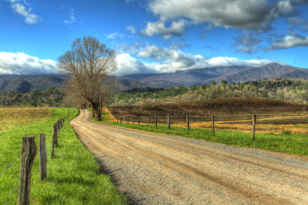 Cades Cove Loop Road Auto Tour